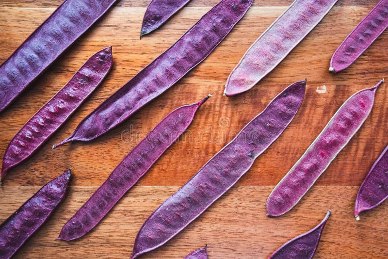 Purple Guaje Seed Pods are Arranged in a Pattern Stock Image - Image of ...