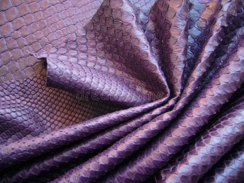 Purple Haberdashery Snake Skin. Purple Skin Stock Image - Image of ...