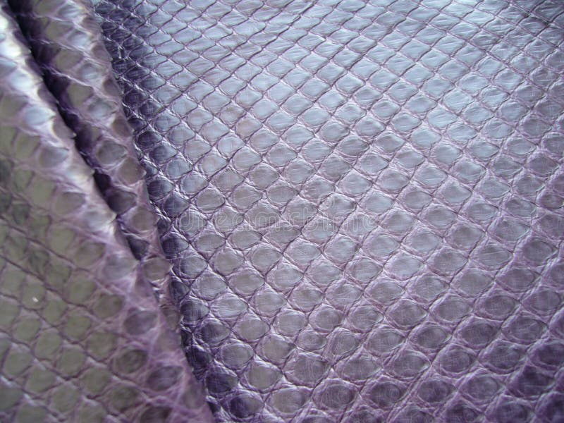 Purple Haberdashery Snake Skin. Purple Skin Stock Image - Image of pink ...