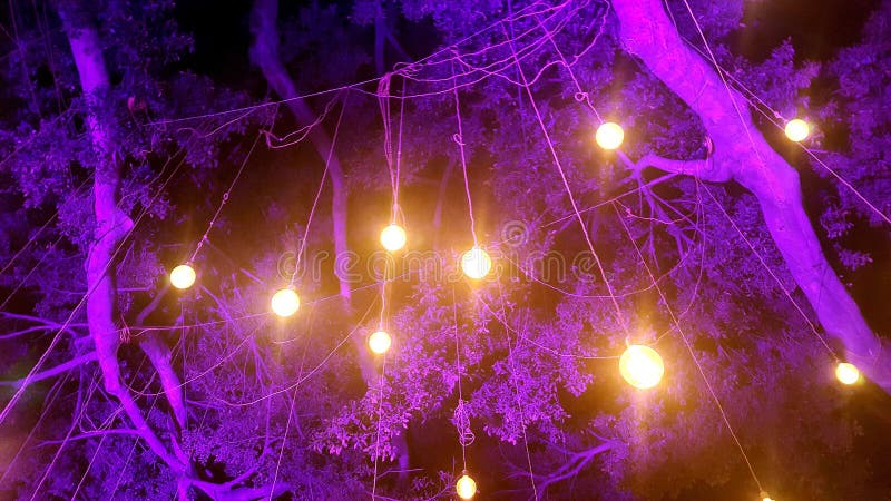 Purple hanging lights stock photo. Image of hanging - 262219580
