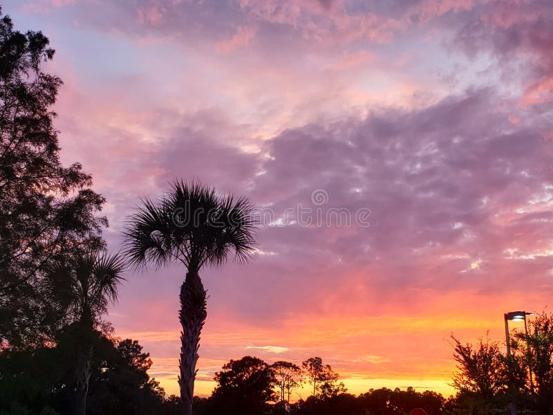 Purple haze sunset stock photo. Image of purple, sunset - 161866790
