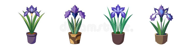 Purple Iris in Pot Illustration for Spring Stock Vector - Illustration ...