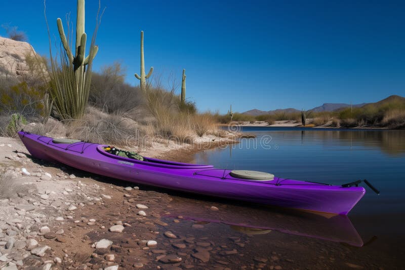 Purple Kayak on Desert Shore, Cactus, Clear Sky Stock Photo - Image of ...