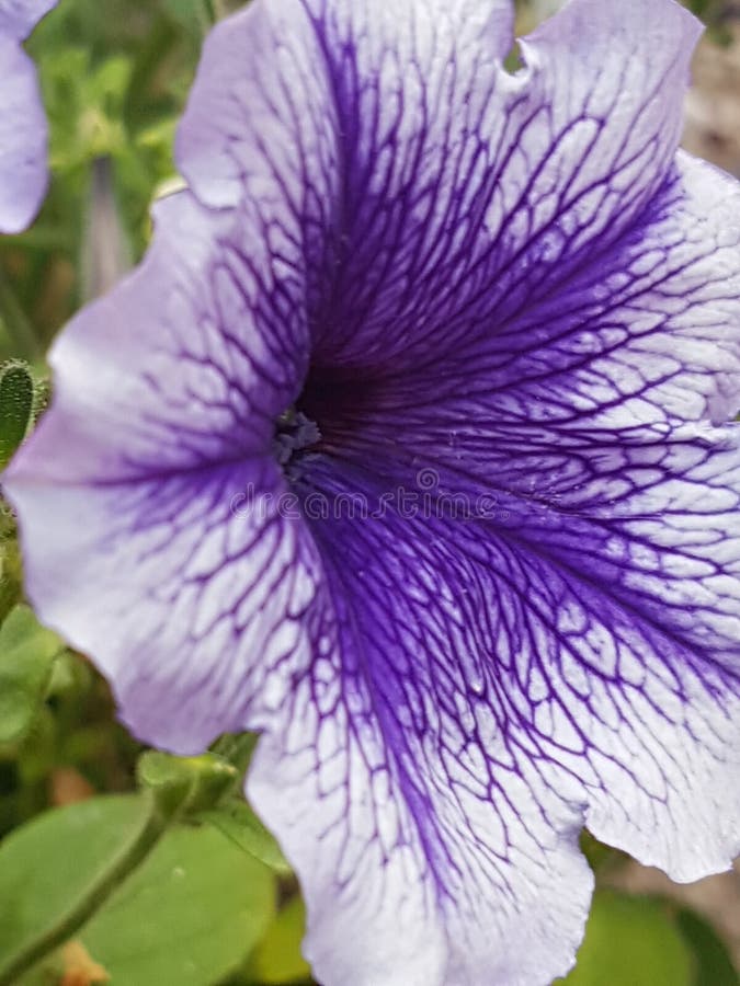 Krypt Tattoo Stock Photos - Free & Royalty-Free Stock Photos from ...