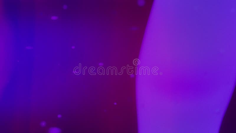 Purple Lava Bubbles Flowing in Liquid on Gradient Background. Slow ...