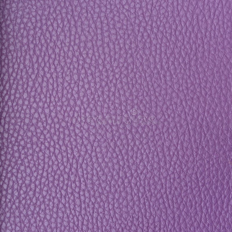 Purple leather texture stock image. Image of clothing - 146730969