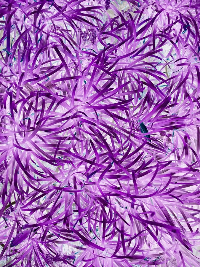 Purple Leave Tree Texture Pattern Background, Violet Ultra Concept ...