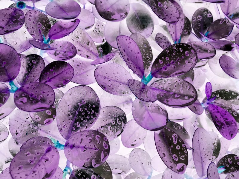 Purple Leave Tree Texture Pattern Background, Violet Ultra Concept ...