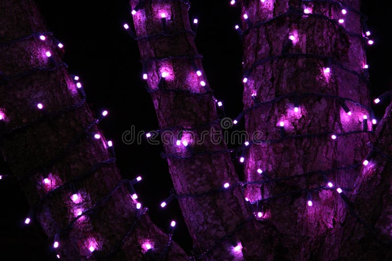 Purple Light Illumination Around a Tree Stock Image - Image of glitter ...