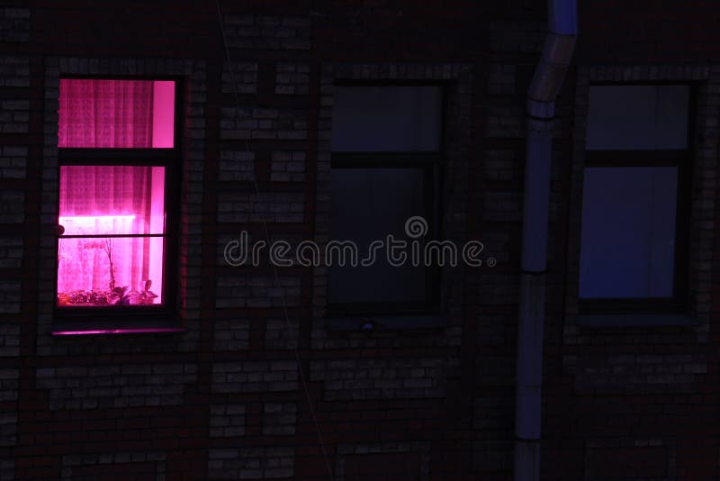 Night Window with Violet Light Stock Image - Image of flowers, design ...