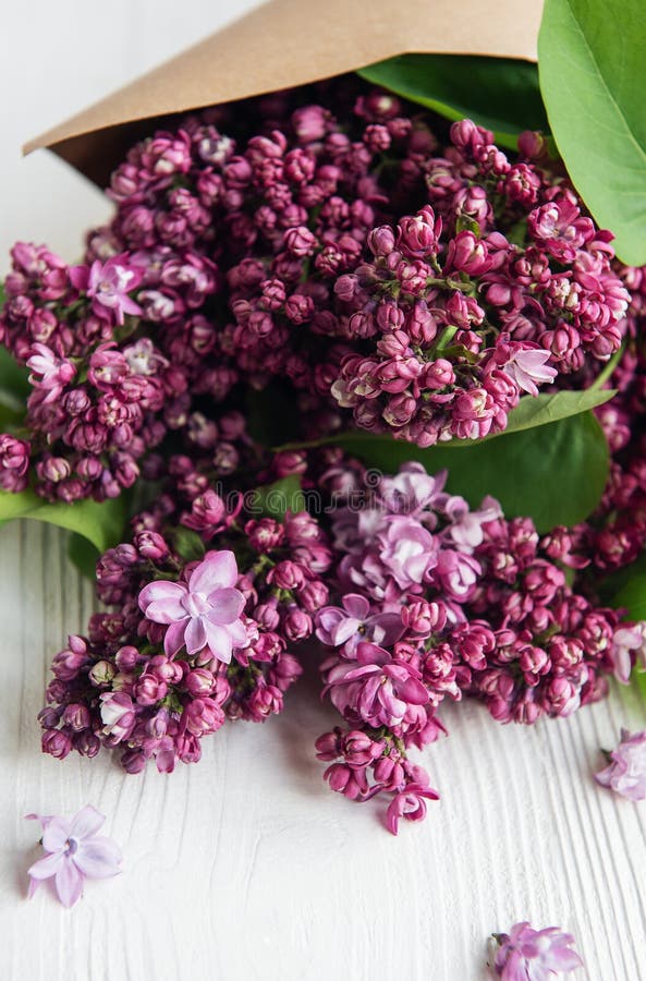 Purple Lilac Flower Bouquet Stock Photo - Image of beauty, violet ...
