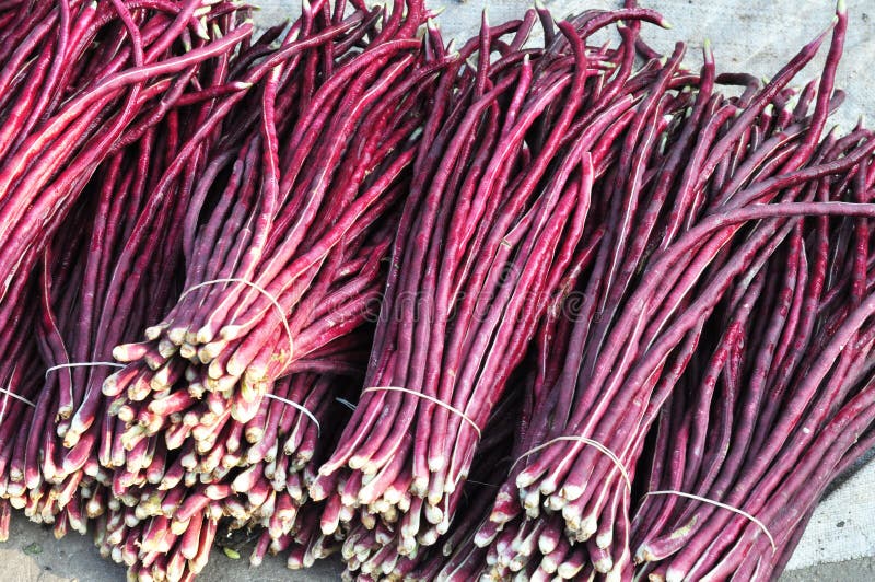 Purple long bean stock photo. Image of kidney, store - 20947384