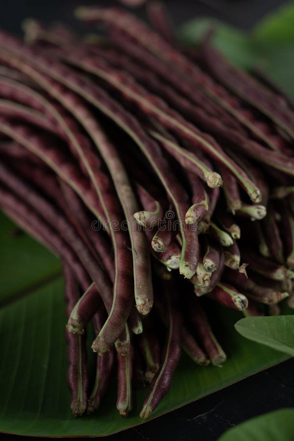Purple Long Bean in Bundle in Market Stock Image - Image of foliage ...