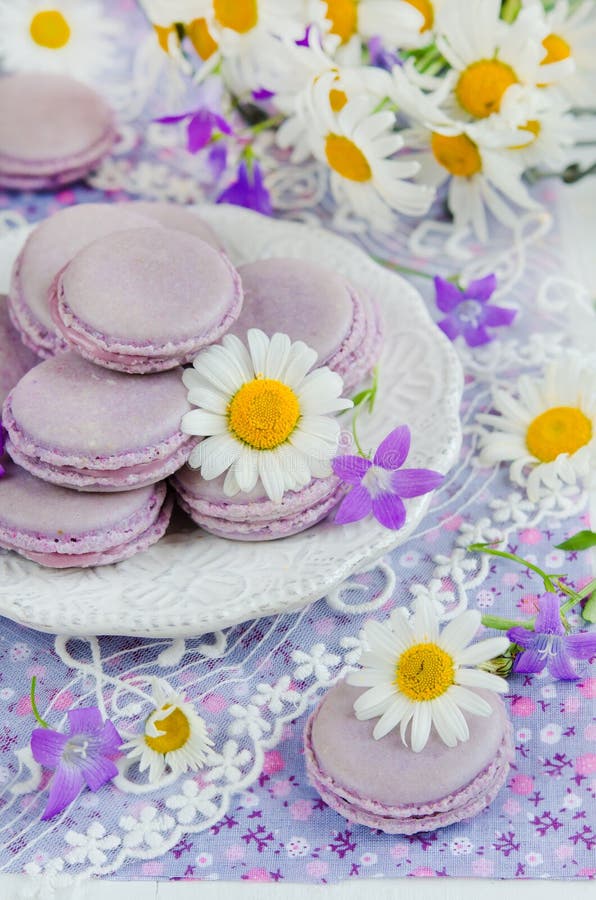 Purple macaroon stock image. Image of decorated, culinary - 41459727