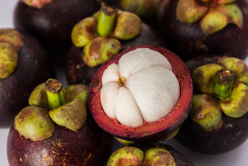 Purple mangosteen stock photo. Image of mangosteen, organic - 76467970