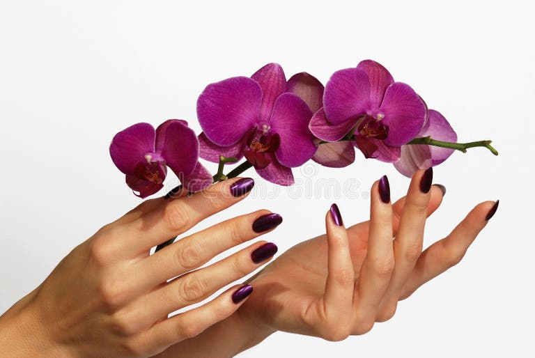 208 Purple Touch Massage Serina Stock Photos - Free & Royalty-Free ...