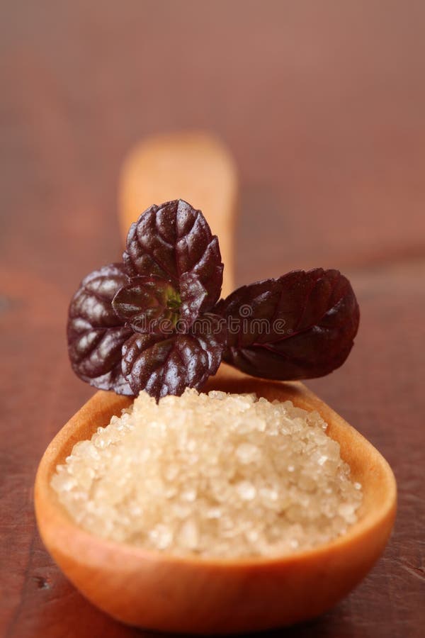 Purple Mint Flower in Detail Stock Photo - Image of purple, details ...