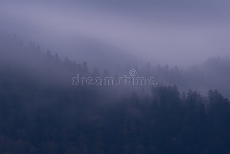 Purple Mist stock image. Image of misty, silhouettes, mist - 692659