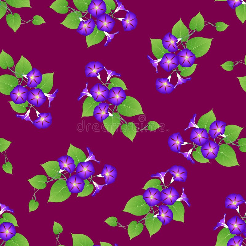 Purple Morning Glory on Violet Background. Vector Illustration Stock ...