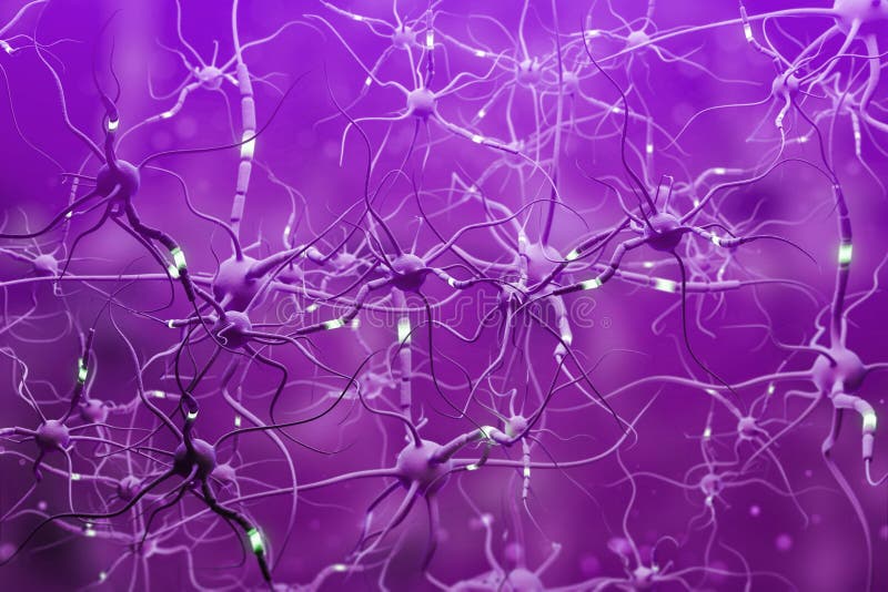 Purple Neurons with Glowing Segments Over Purple Stock Illustration ...