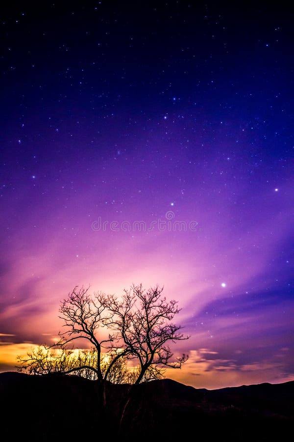 Purple night sky stock photo. Image of purple, foreground - 69205602