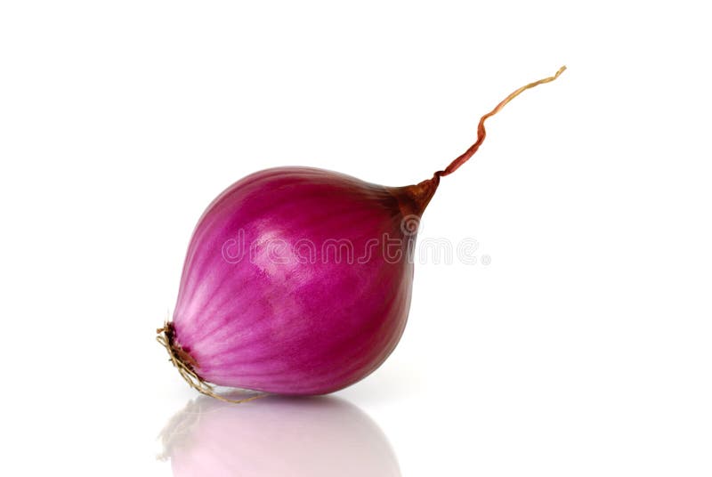 Red or Purple Onion Slice Isolated Stock Image - Image of food, close ...