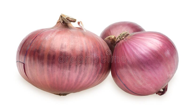 Purple onion stock image. Image of shot, vegetable, onion - 42924047