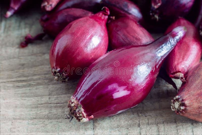 Purple Onion Sets for Planting in the Soil Stock Photo - Image of ...
