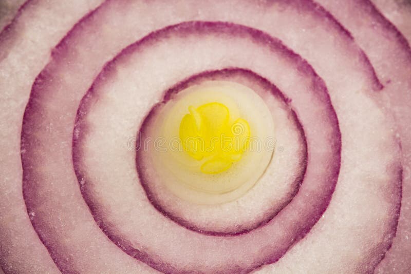 1,045 Purple Onion Slice Texture Stock Photos - Free & Royalty-Free ...