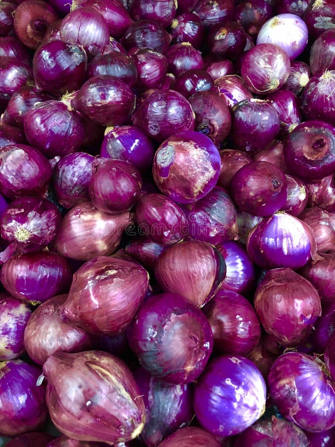 Purple Onions Laying On Stump, Soft Blurry Grass Background Stock Photo ...