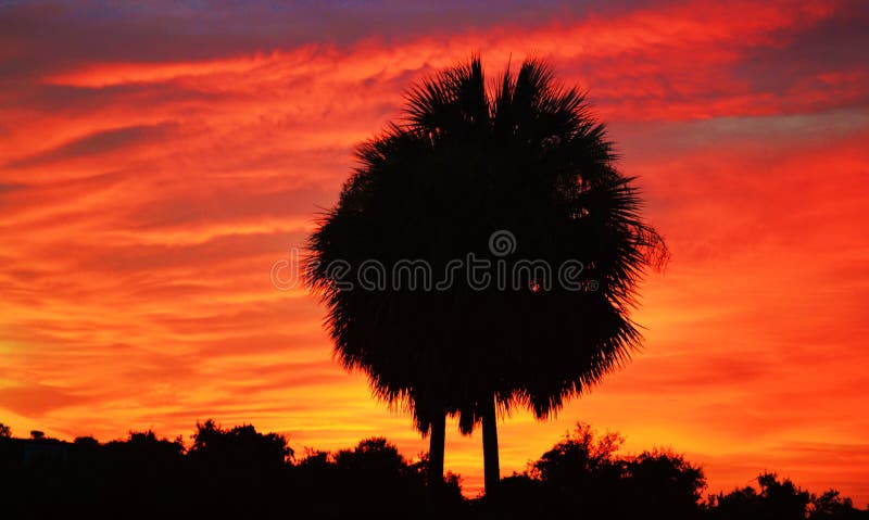 Purple/Orange Sunset stock photo. Image of florida, orange - 40539746