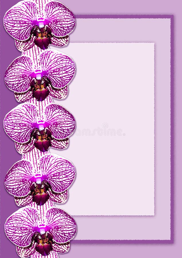 Purple orchid frame stock illustration. Illustration of color - 61454216