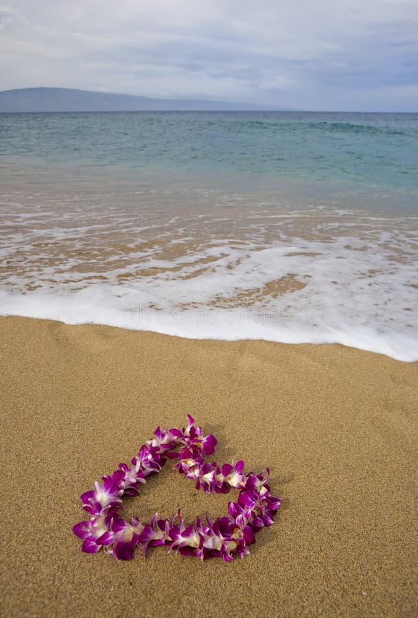 Purple orchid lei on beach stock image. Image of heart - 7459505