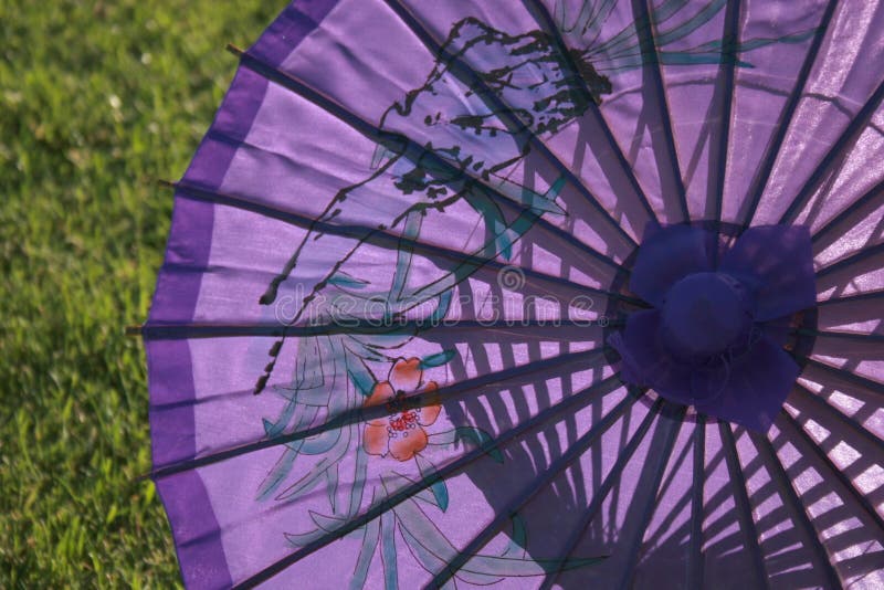 Purple Parasol stock image. Image of grass, purple, chinese - 9528055