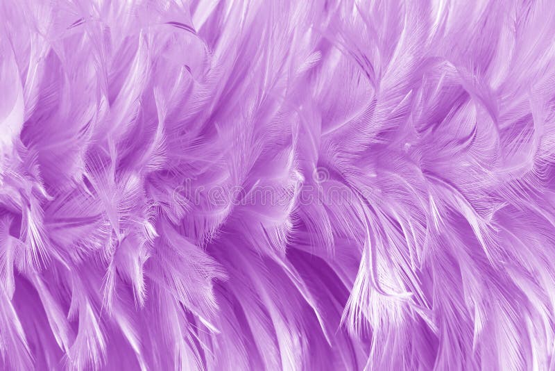 Purple Pastel Feather Pattern Texture for Background and Design Stock ...