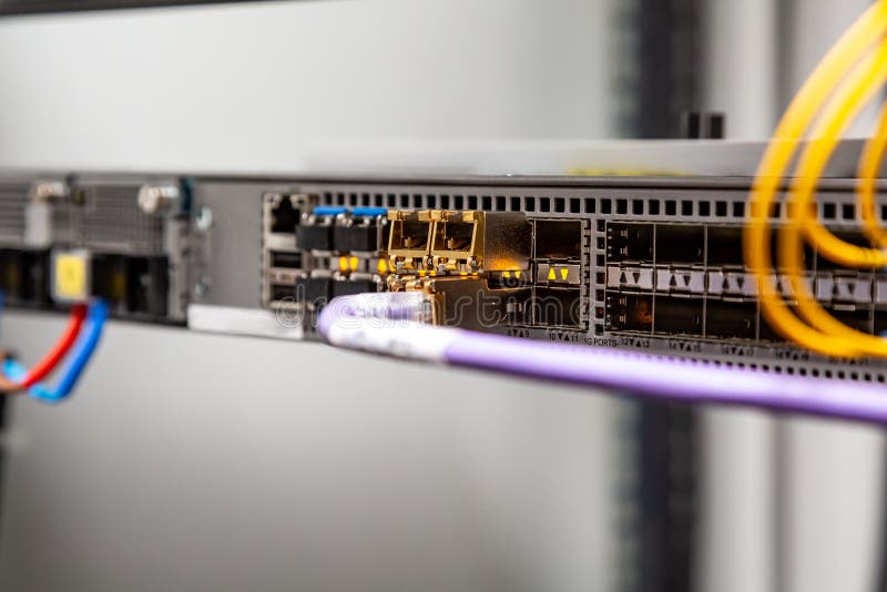 Purple Patch Cord Inserted into the Large Router. SFP Modules ...