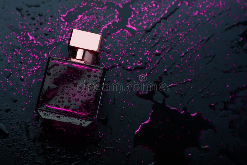 Perfume on a Black Background Stock Image - Image of liquid, fashion ...