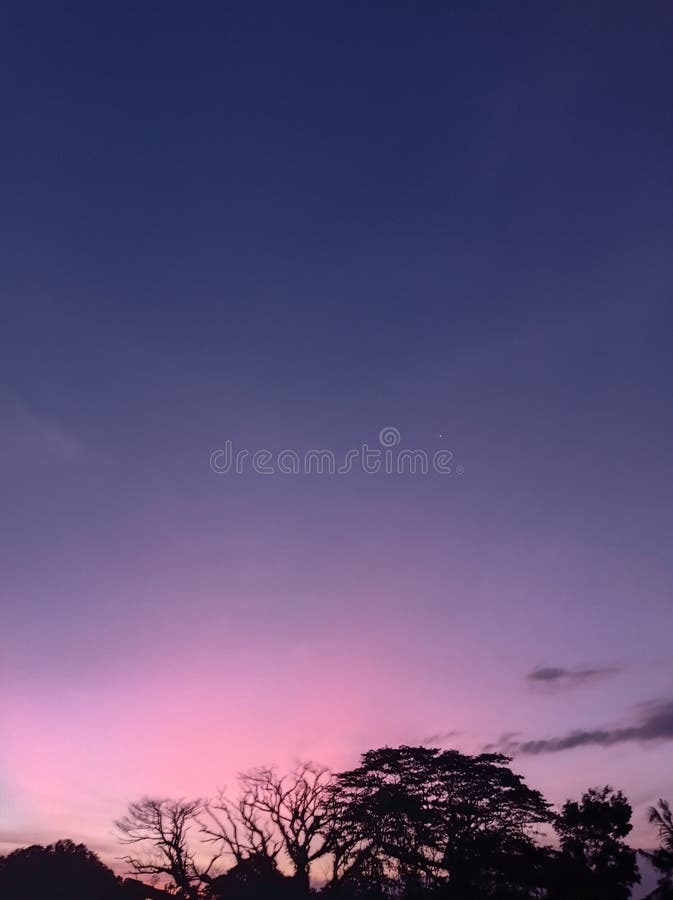 Purple Pink Sunset with the Tree Shadows Stock Photo - Image of pink ...