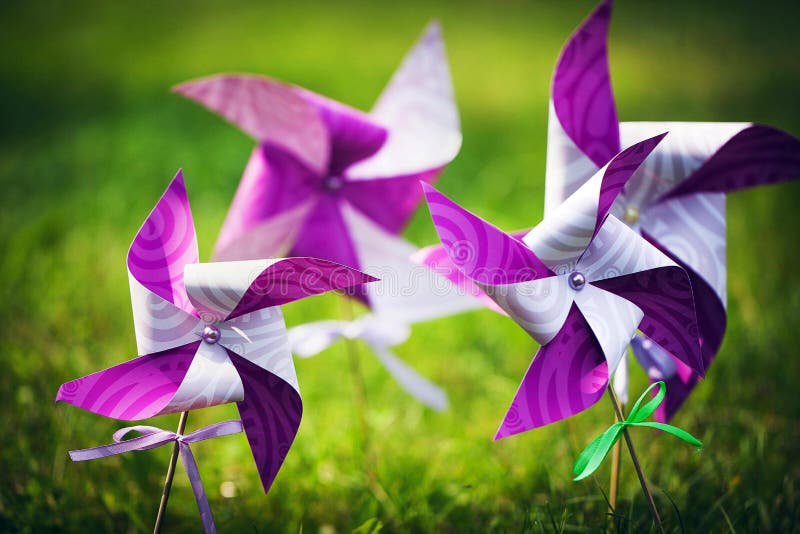 Purple Pinwheel on a Green Grass Stock Photo - Image of pinwheel ...