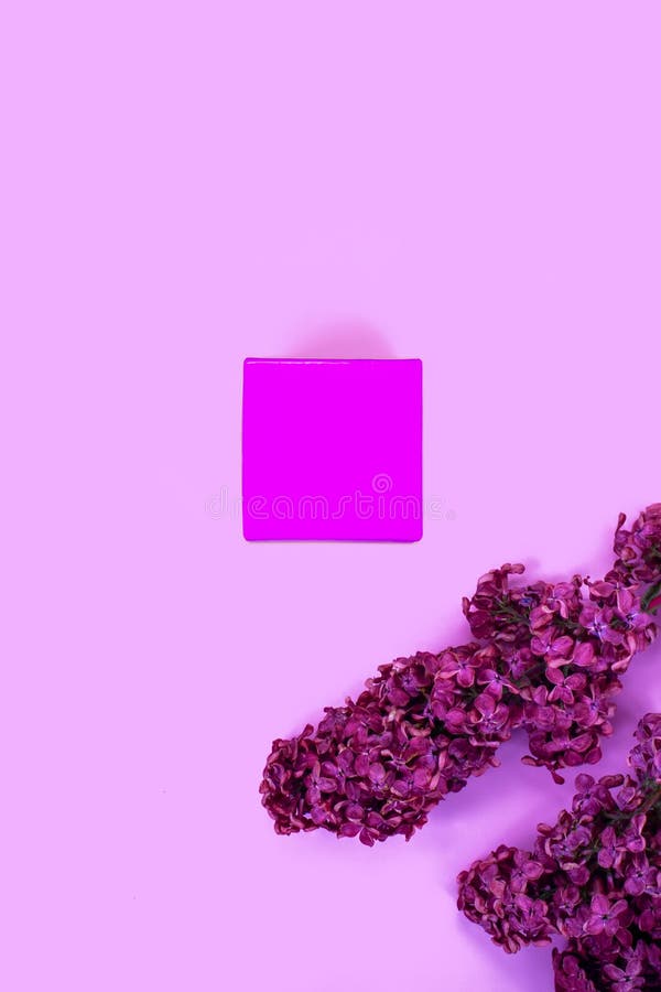 Purple present stock image. Image of dotted, gift, isolated - 11315217