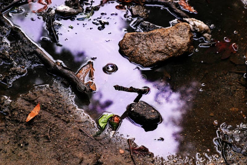 Purple puddle stock photo. Image of soil, dirt, damp, pond - 6545184