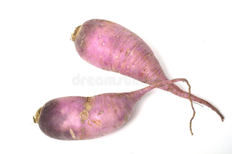 Purple Radish on a White Background Stock Image - Image of healthy ...