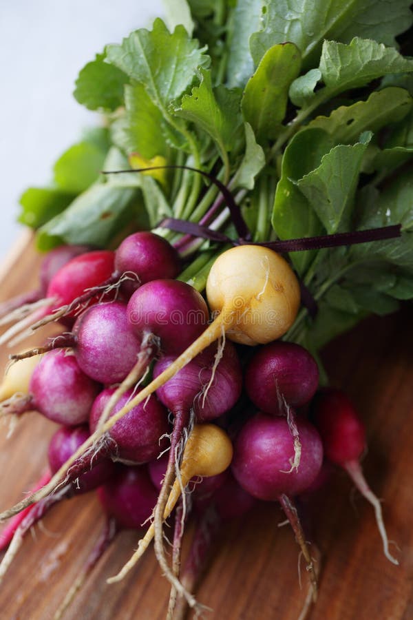Purple Radish on a Wooden Board Stock Photo - Image of harvest, salad ...