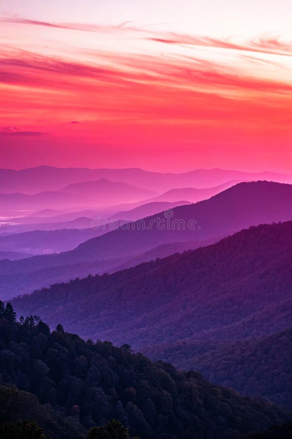 Purple Red Deep Gradient Background Stock Illustration - Illustration ...