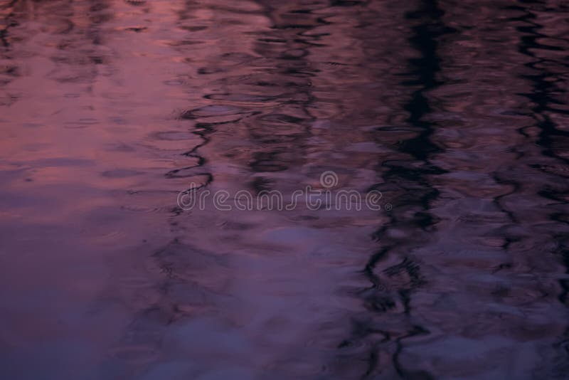 Purple Reflection on Rippled Water Stock Photo - Image of background ...