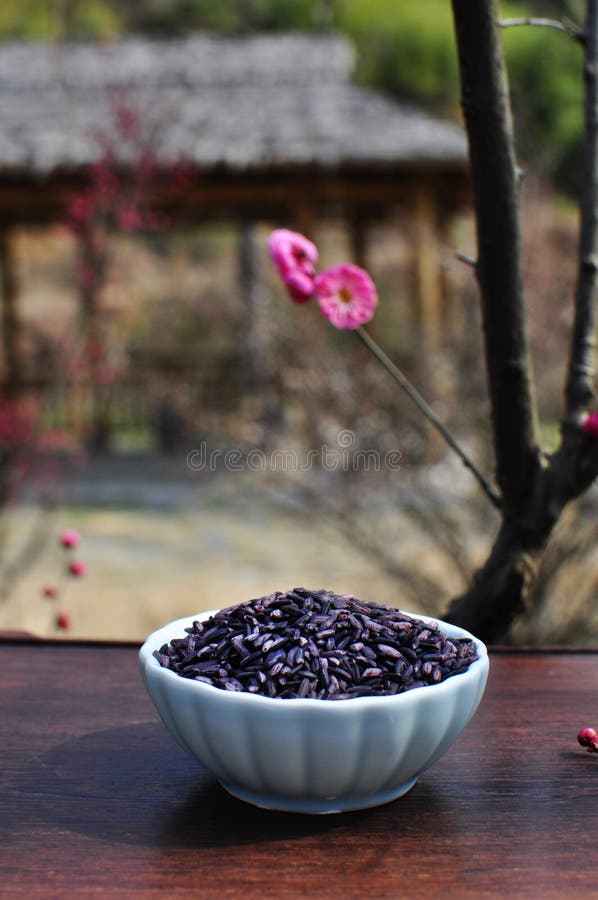 Purple rice stock image. Image of flowers, bowl, tree - 45877549