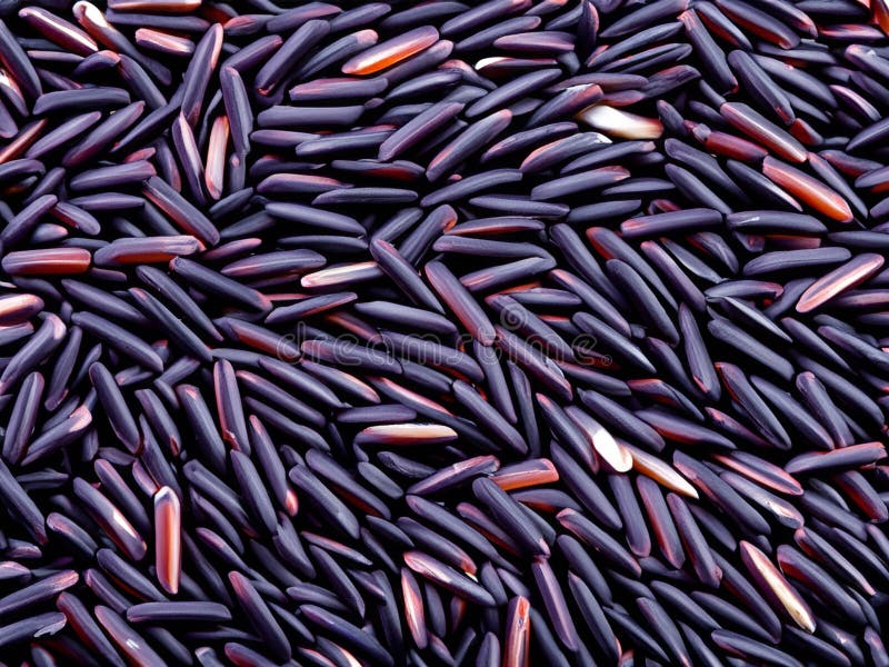 Purple Rice Seeds Background, Top View Stock Illustration ...