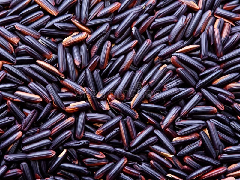 Purple Rice Seeds Background, Top View Stock Illustration ...