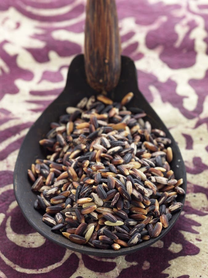 Purple rice from Vietnam stock image. Image of violet - 23707959