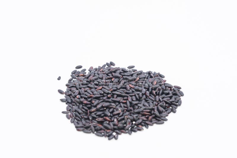 Purple Rice in White Background Stock Image - Image of rice, purple ...